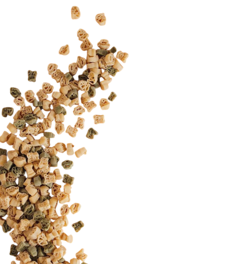 World of Pastabilities